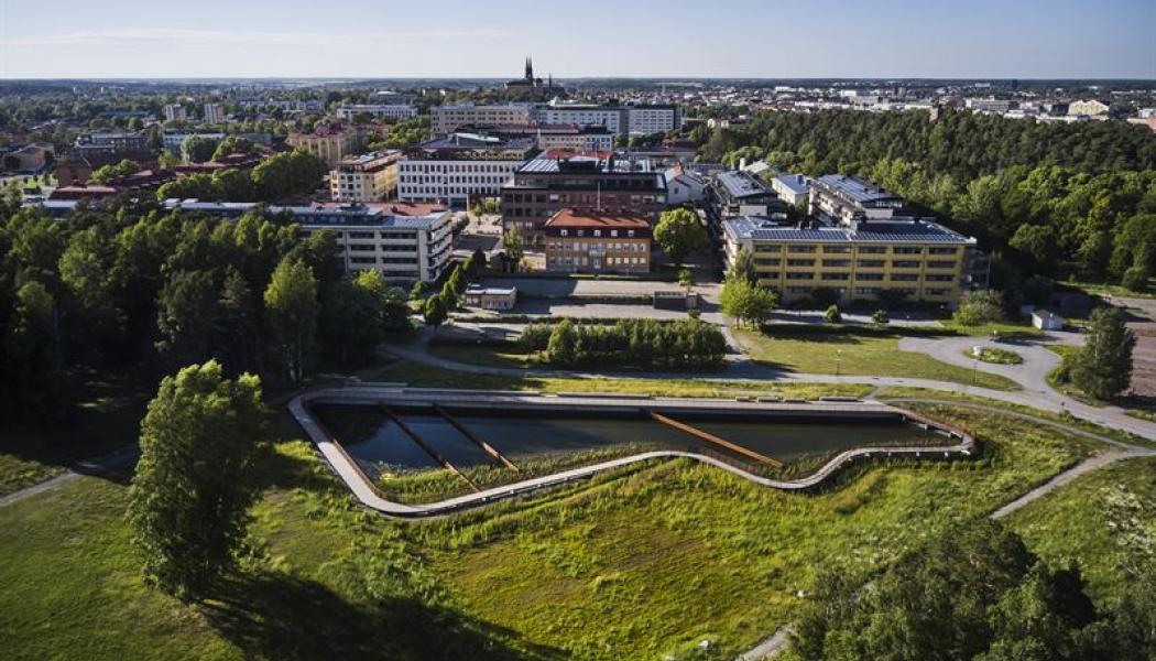 Ny dagvattendamm på Exercisfältet i Uppsala skapas av White Arkitekter ...